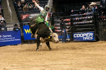 __COUNT__ Professional Bull Riding National Championship in Edmonton ...