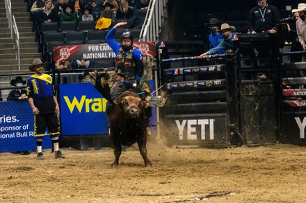 Dakota Louis Aboard Al Capone During Editorial Stock Photo - Stock ...