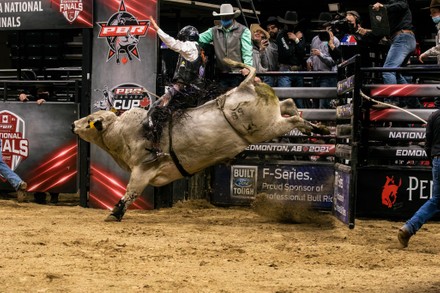 Cody Robbins On Cinch Jeans Hot Editorial Stock Photo - Stock Image ...