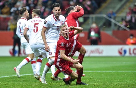 Andras Schafer Editorial Stock Photo - Stock Image | Shutterstock
