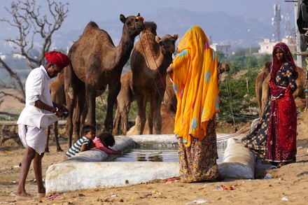 250 Camel traders Stock Pictures, Editorial Images and Stock Photos ...