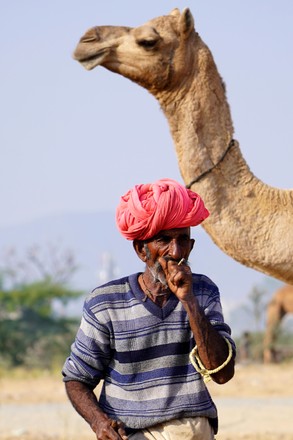 250 Camel traders Stock Pictures, Editorial Images and Stock Photos ...