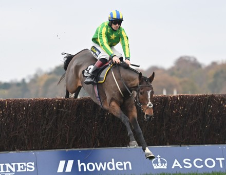 250 Windsor horse rangers Stock Pictures, Editorial Images and Stock ...