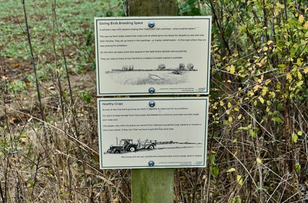 1 Chiltern society sign posts Stock Pictures, Editorial Images and ...