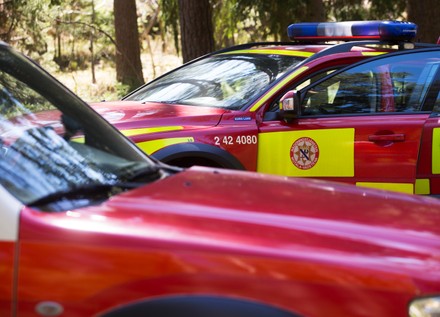 Fire Cars Forest Fire Editorial Stock Photo - Stock Image | Shutterstock