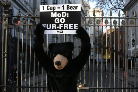 3,000 Peta demonstration Stock Pictures, Editorial Images and Stock ...