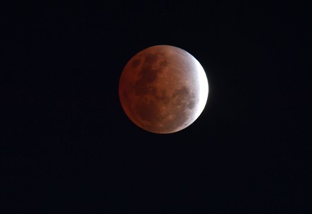 Partial lunar eclipse, Brisbane, Australia - 19 Nov 2021 Stock Pictures ...