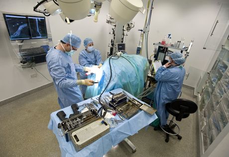 Bionic Vet Noel Fitzpatrick Carries Out Editorial Stock Photo - Stock ...