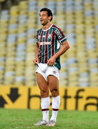 Fred Fluminense Celebrates His Penalty Kick Editorial Stock Photo ...