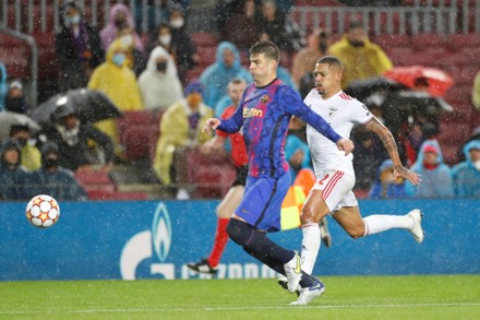 FC Barcelona - SL Benfica, Spain - 23 Nov 2021 Stock Pictures ...