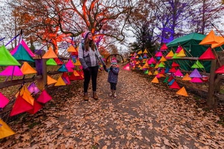glow wild kew wakehurst Stock Photos (Exclusive) | Shutterstock