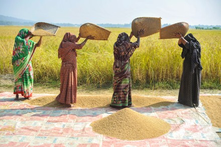 Rural Women Joy Nogar Village Panthumai Editorial Stock Photo - Stock ...