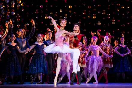 Marge Hendrick Sugarplum Fairy Evan Loudon Editorial Stock Photo ...
