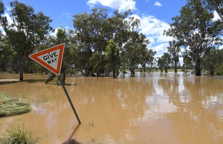 Flood Waters Macintyre Brook Seen Over Editorial Stock Photo - Stock ...
