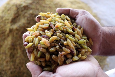 Afghan Man Sorts Raisins Kandahar Afghanistan Editorial Stock Photo ...