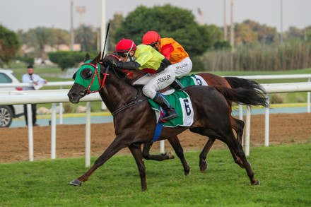 Horse Racing, Abu Dhabi, UAE - 12 Dec 2021 Stock Pictures, Editorial ...