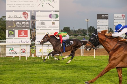 Horse Racing, Abu Dhabi, UAE - 12 Dec 2021 Stock Pictures, Editorial ...