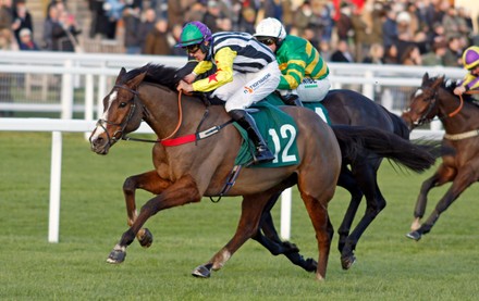 Lively Citizen Archie Bellamy Wins Catesby Editorial Stock Photo ...