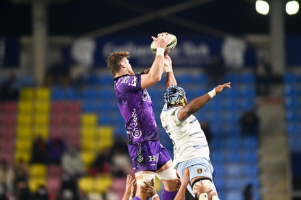 Will Rowlands Dragons Editorial Stock Photo - Stock Image | Shutterstock