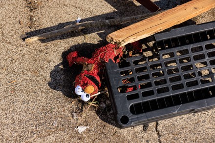 Elmo Stuffed Toy Pile Debris After Editorial Stock Photo - Stock Image ...