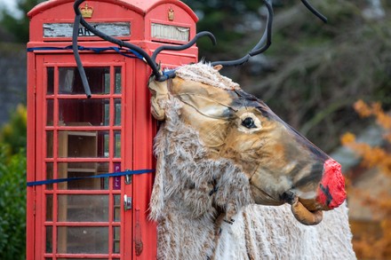 Giant Christmas Reindeer That Has Appeared Editorial Stock Photo ...