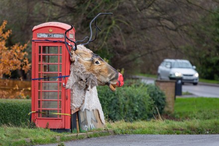 Giant Christmas Reindeer That Has Appeared Editorial Stock Photo ...