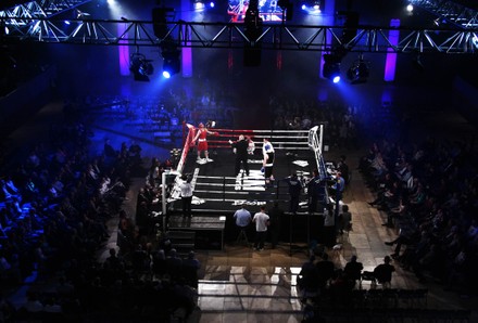 Boxer Mikaela During Boxing Gala Best Editorial Stock Photo - Stock ...
