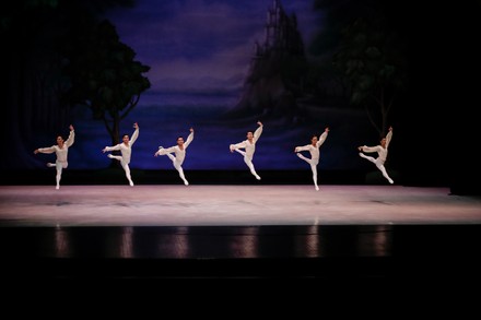 Ballet Dancers Perform Finale First Half Editorial Stock Photo - Stock ...