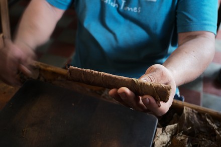 Worker Makes Handmade Cigars Cigar Factory Editorial Stock Photo ...