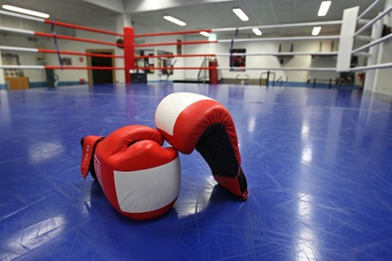 Boxing Gloves Boxing Ring Editorial Stock Photo - Stock Image ...