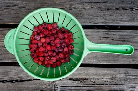 Freshly Picked Raspberries Editorial Stock Photo - Stock Image ...
