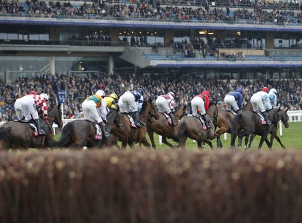 imágenes de Horse Racing - 18 Dec 2021 - Imágenes de stock, imágenes ...