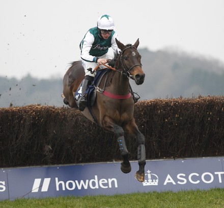 Horse Racing - 18 Dec 2021 Stock Pictures, Editorial Images and Stock ...