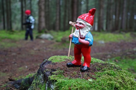 __COUNT__ Christmas decorations in a forest, Motala, Sweden - 15 Dec ...