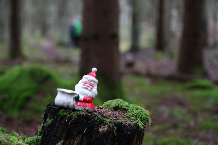 __COUNT__ Christmas decorations in a forest, Motala, Sweden - 15 Dec ...