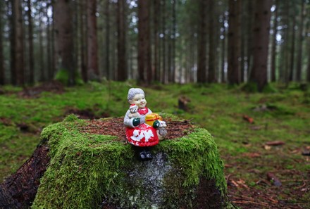 __COUNT__ Christmas decorations in a forest, Motala, Sweden - 15 Dec ...