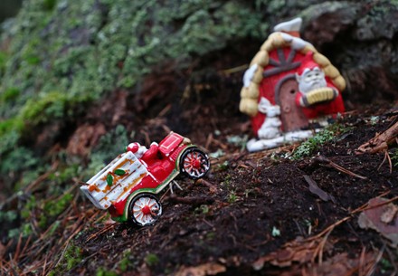 Someone Who Placed Christmas Decorations Forest Editorial Stock Photo ...