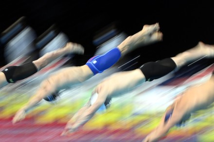 500 Kamminga Stock Pictures, Editorial Images and Stock Photos ...