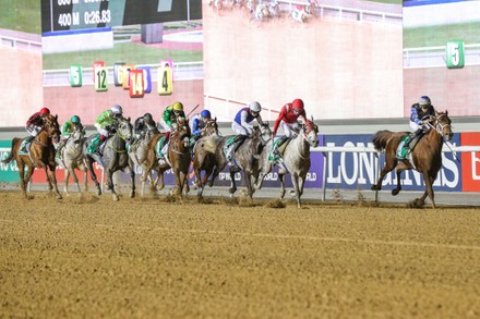 Horse Racing, Meydan, Dubai, UAE - 23 Dec 2021 Stock Pictures ...
