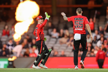 Sam Harper Renegades L Celebrates Wicket Editorial Stock Photo - Stock ...