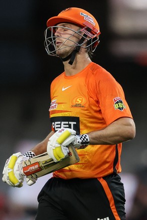 Mitchell Marsh Scorchers Reacts Being Dismissed Editorial Stock Photo ...