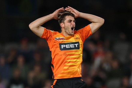 Andrew Tye Scorchers Tymal Mills Scorchers Editorial Stock Photo ...
