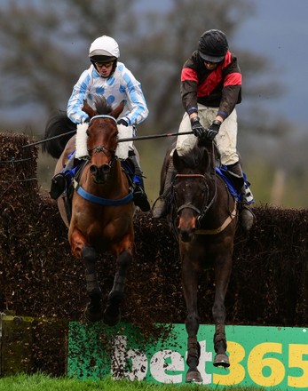 Race Winner Kingsmill Gin Ridden By Editorial Stock Photo - Stock Image ...