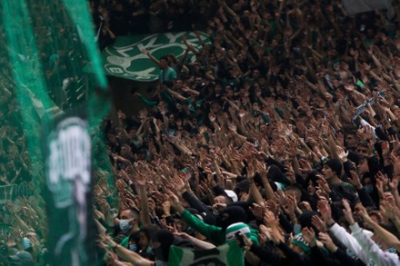 Panathinaikos Fans During Euroleague Basketball Match Editorial Stock ...