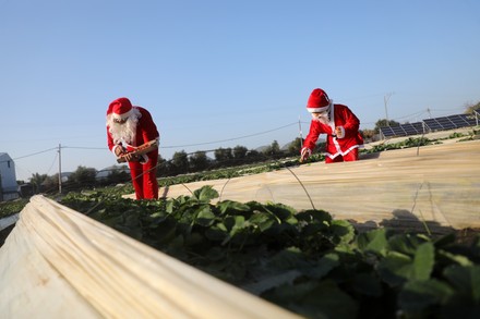Palestinian Dressed Santa Claus His Child Editorial Stock Photo - Stock ...