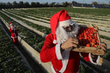 Palestinian Dressed Santa Claus His Child Editorial Stock Photo - Stock ...