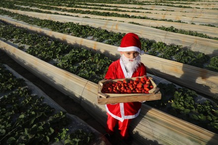 Palestinian Boy Wearing Santa Claus Outfit Editorial Stock Photo ...