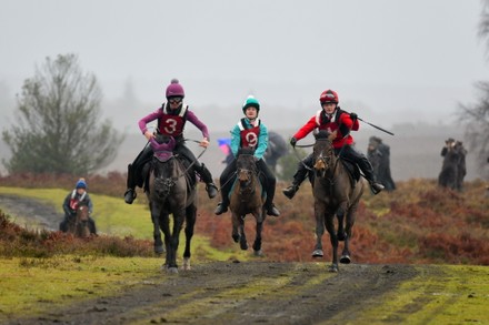 annual new forest point race Stock Photos (Exclusive) | Shutterstock