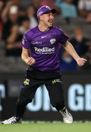 Riley Meredith Hurricanes Celebrates During Kfc Editorial Stock Photo ...