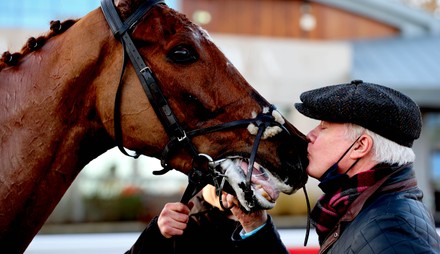 Pigsback Maiden Hurdle Winning Owner Brian Editorial Stock Photo ...